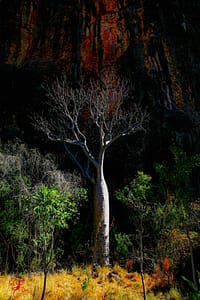 Red Dirt Australia – Our passion is travelling the red dirt tracks of ...